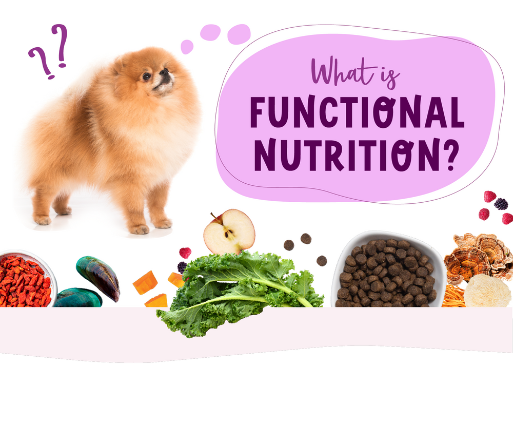 The Power of Functional Nutrition and Superfoods