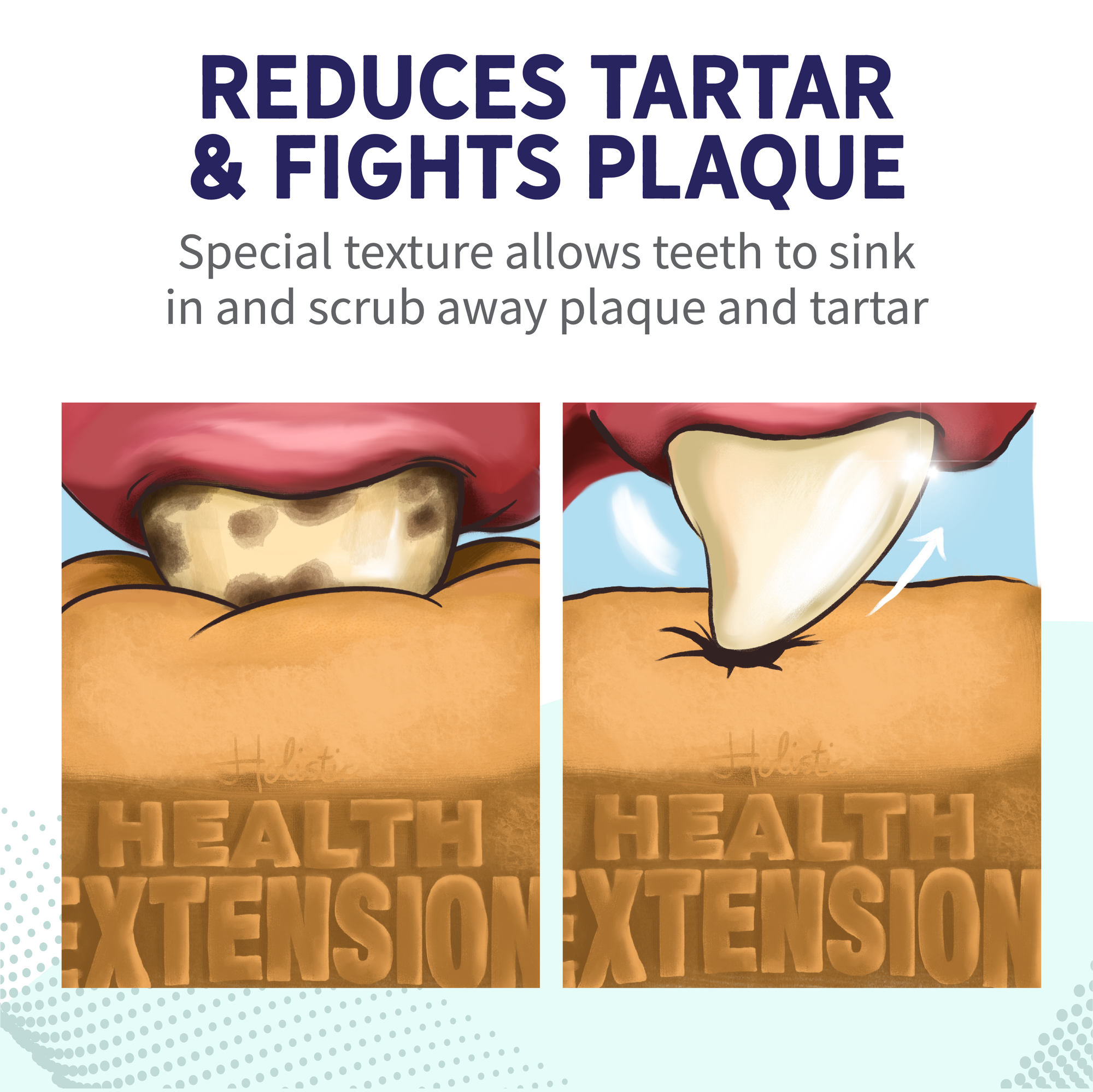 Probiotic Dental Bones for Dogs | Fresh Breath & Oral Health - Health ...