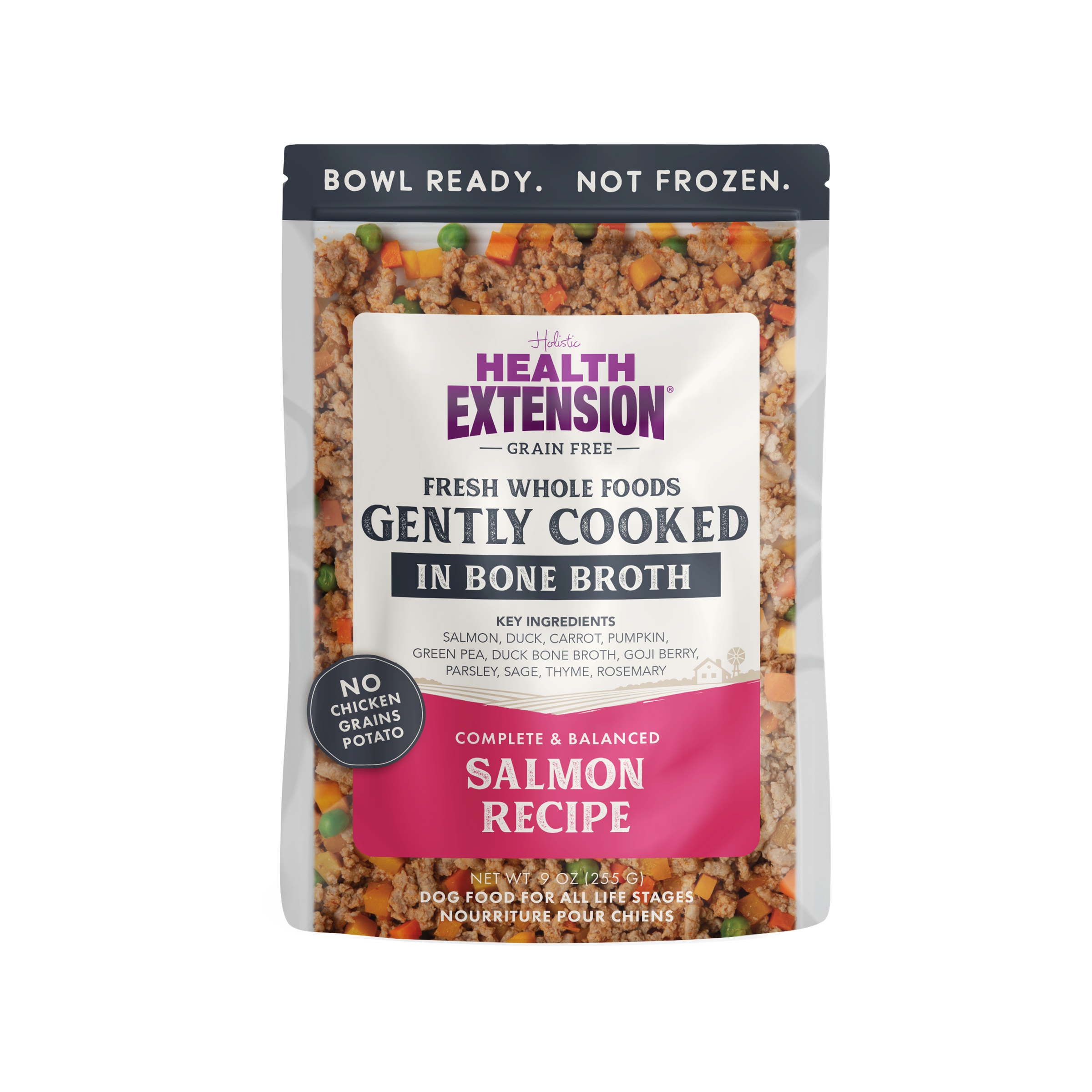 Gently Cooked Salmon Dog Food | Canned Wet Dog Food – Health Extension