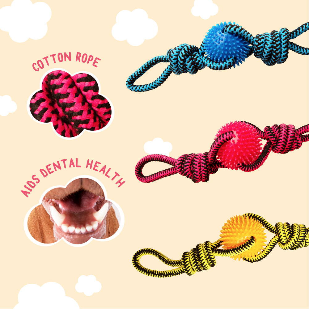 Spikey Beast Rope 2-in-1 Toy