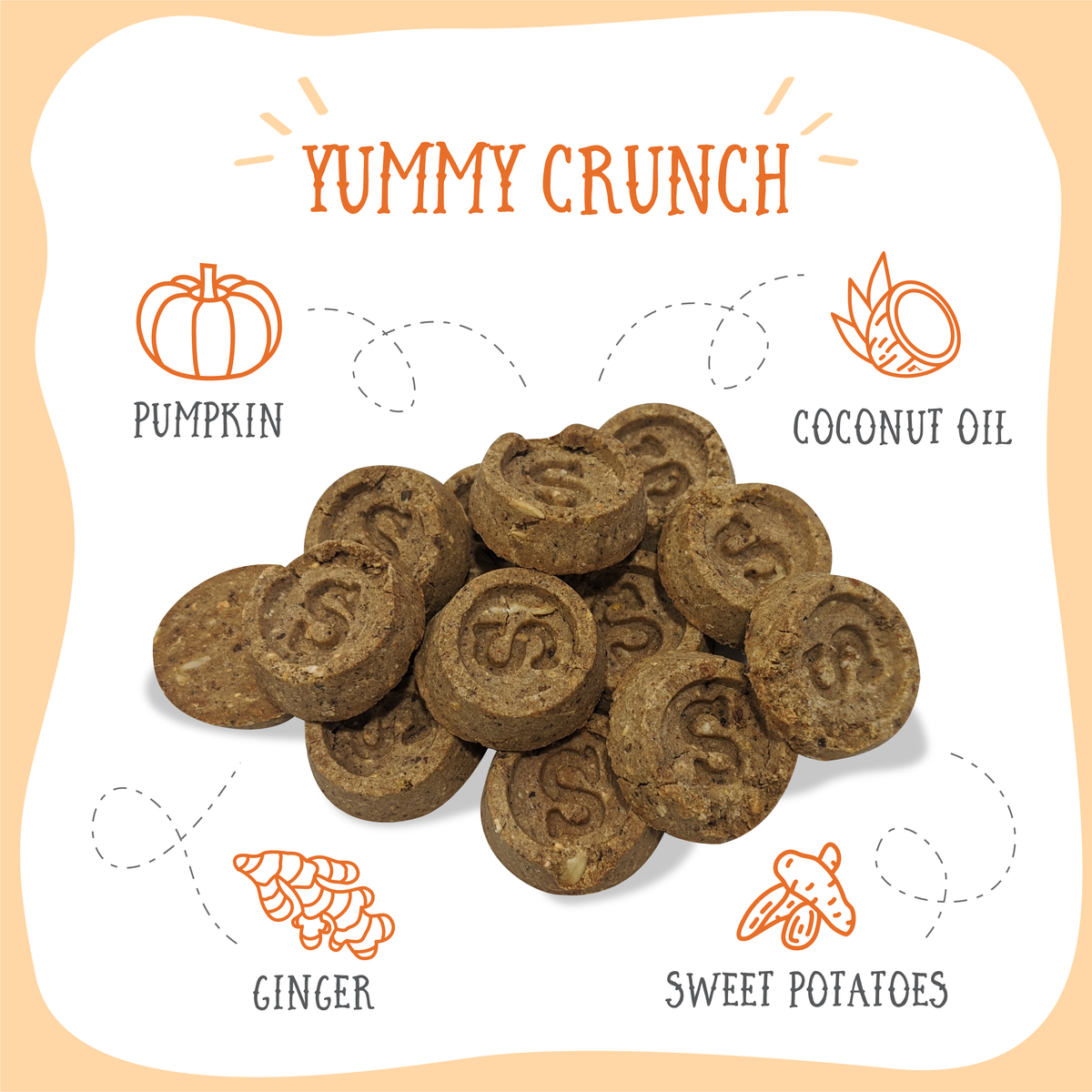 Sammy Snacks With Pumpkin