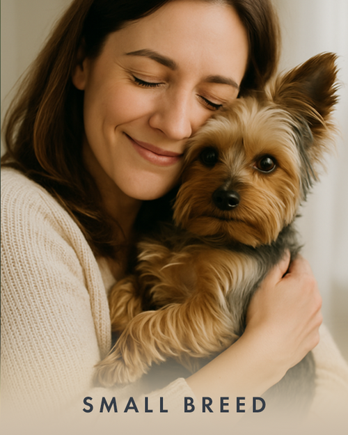 Best Small Breed Dog Food | Healthy Natural Food for Small Dogs ...